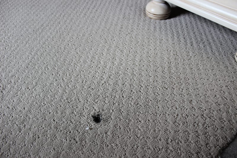 Before and After | Peoria Carpet Repair & Cleaning